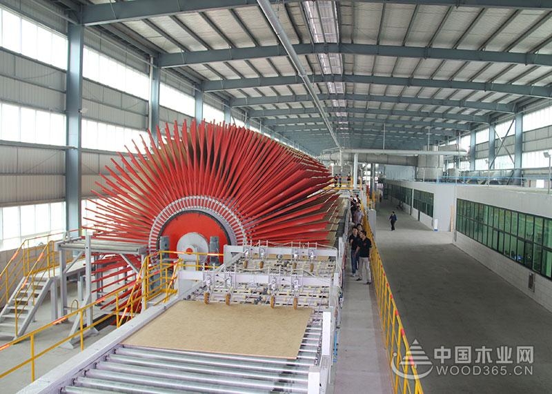 "Interview" Jiang Tingting: Digital Intelligence leads!38-year-old Lu ...