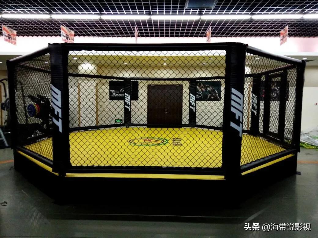 The latest release "In the Octagonal Cage" - iMedia