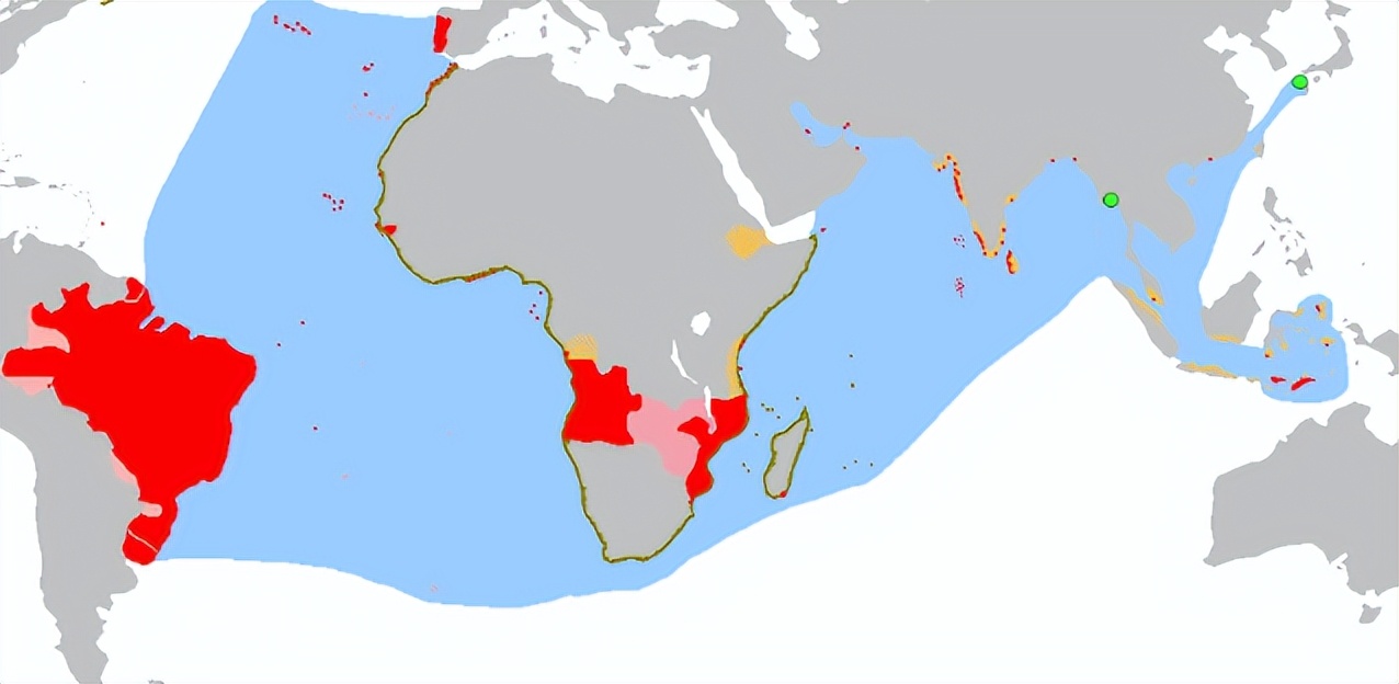 What contributions did Joao II make to the expansion of the Portuguese ...