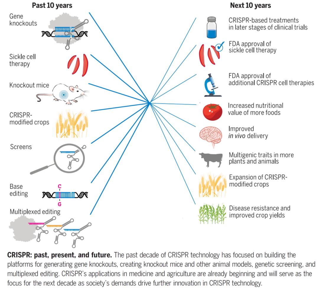 Jennifer Doudna reviews the status, challenges and future of CRISPR ...
