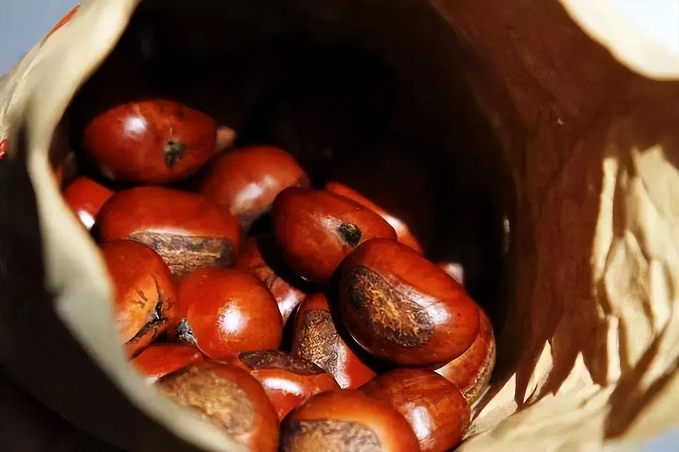 Chestnuts, hot memories. - iMedia