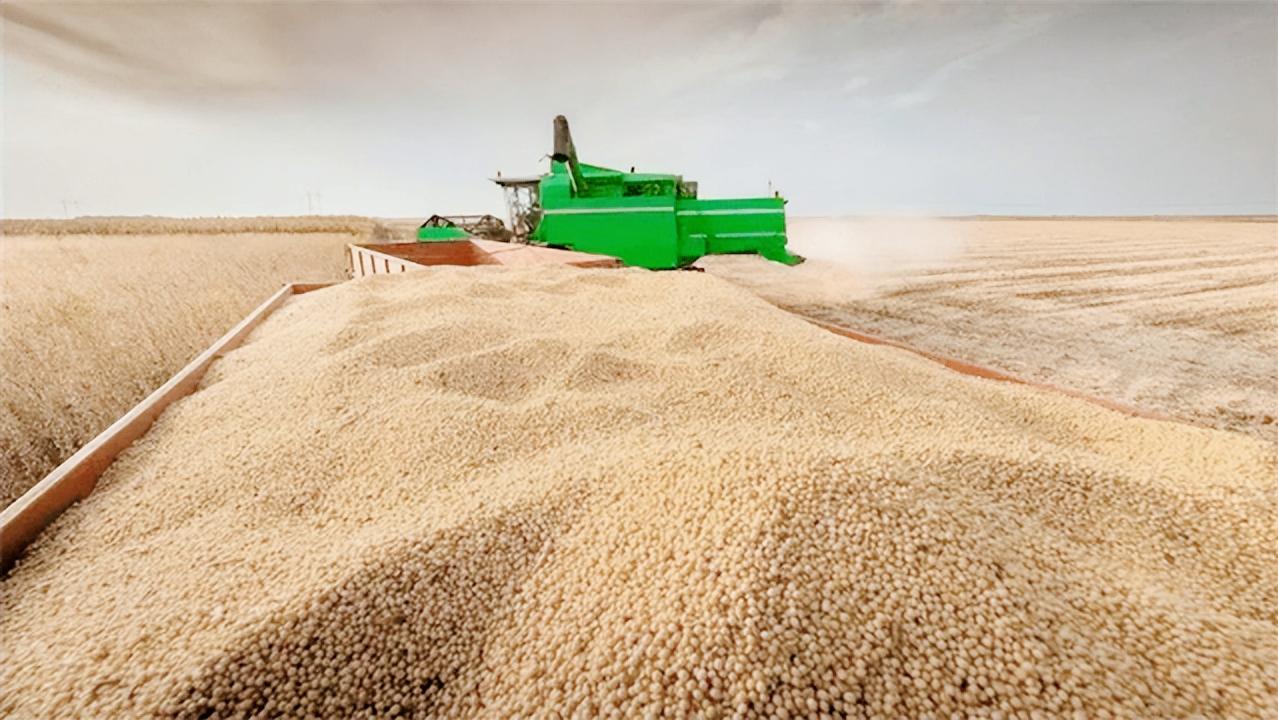 Incredible China S Largest Grain Depot Has A Storage Capacity Of 5
