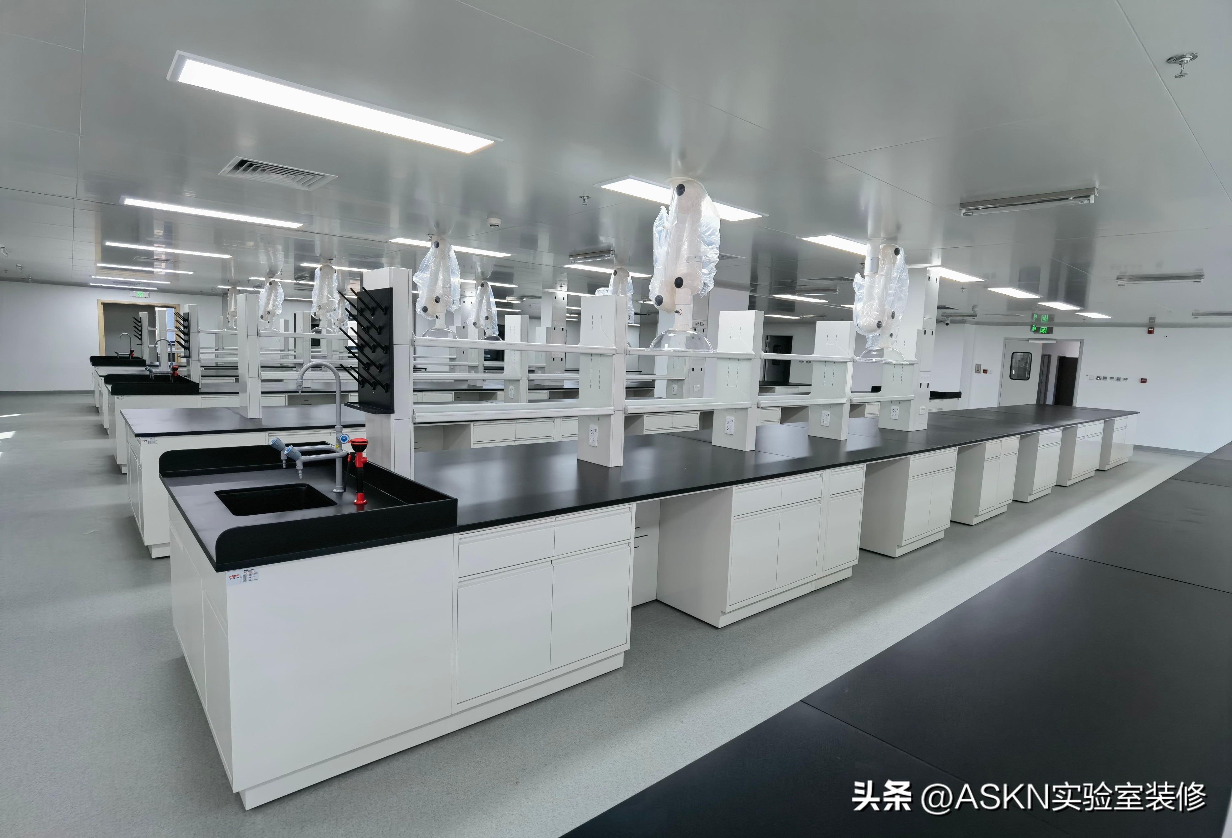 DNA purification laboratory design - iMedia