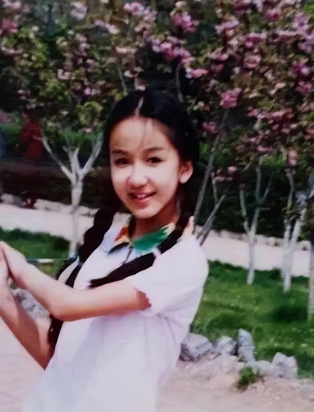 Debut is the pinnacle, Hu Yifei, who was once a smash hit, is now ...