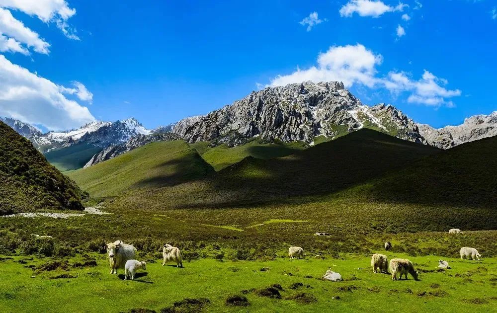 Tibetan villages in the snow, the secret heaven - iMedia