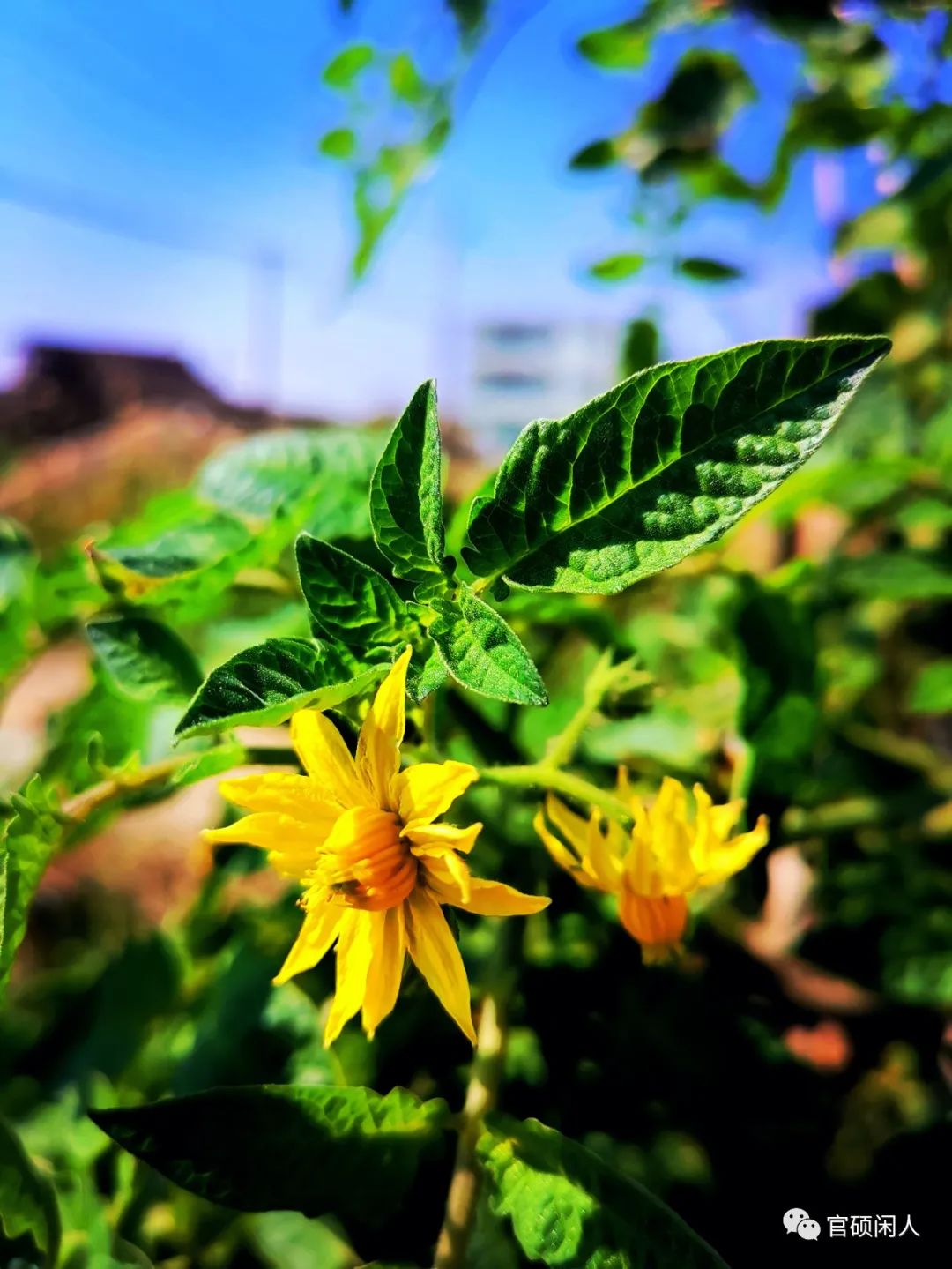 footprints of life - iNEWS