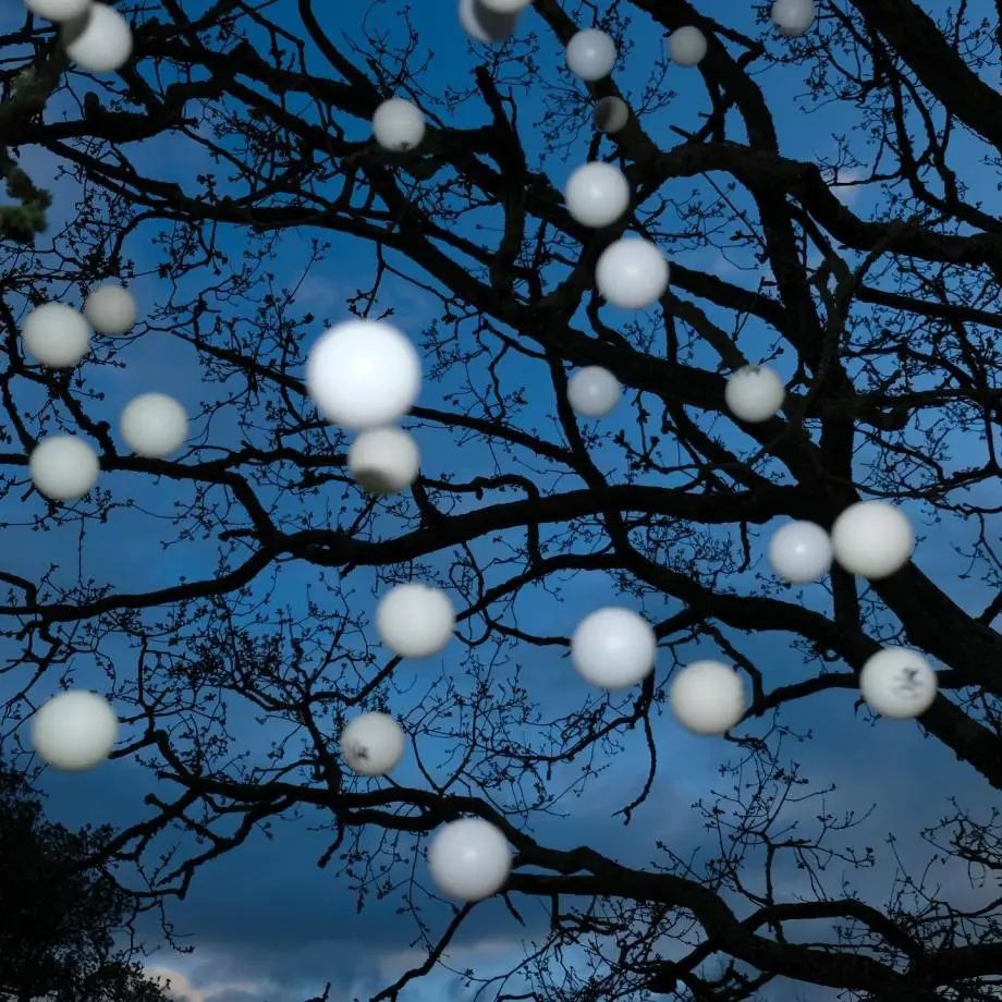 Lu Xun: The cowardly are angry, but draw their swords towards the ...