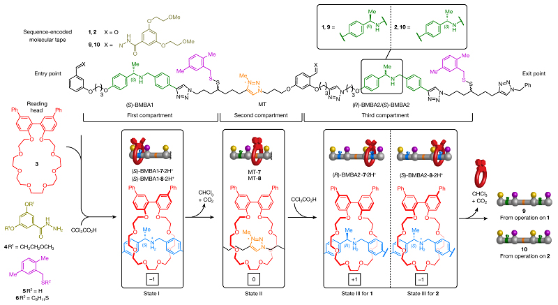 Nature: New discovery of artificial molecular machine - molecular ...
