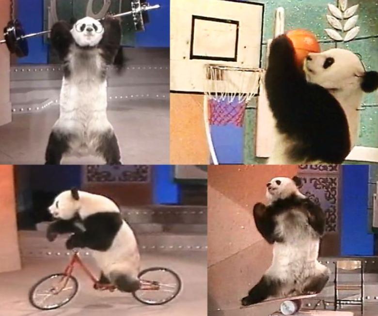 The classic scene of the Spring Festival Gala in the past, the national ...