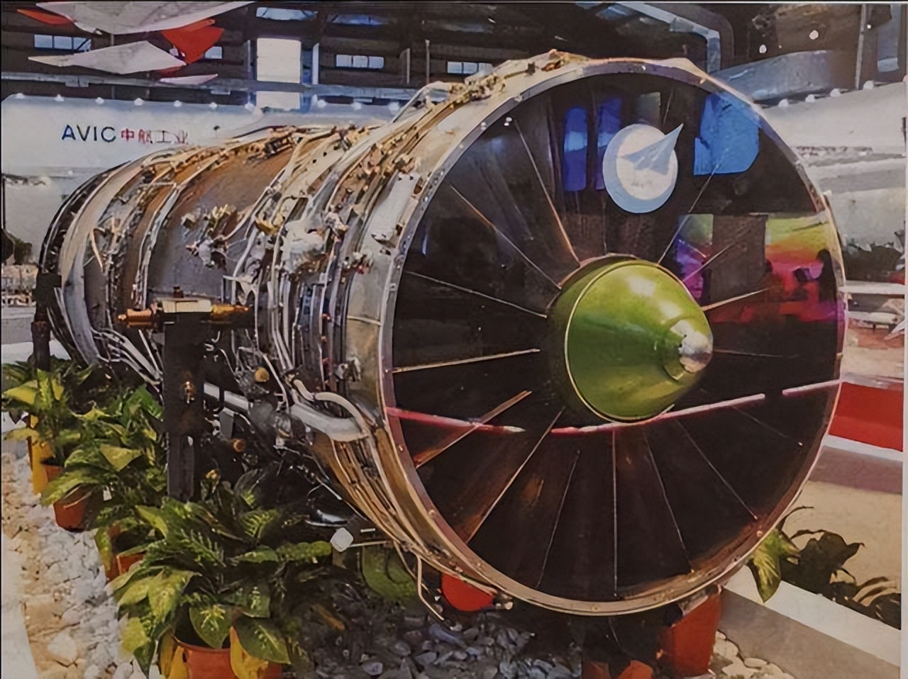 200 "Flying Leopards" facing retirement?North Korea, Iran, Argentina ...