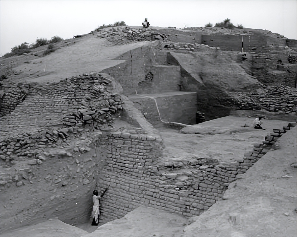 How did the destruction of the Harappan culture in 2600 BC affect ...