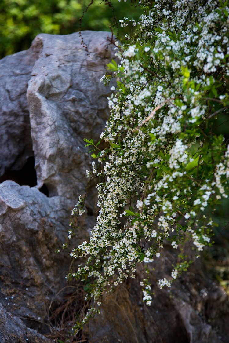 Prose: March is moving, the tenderness of bowing the head is the most ...