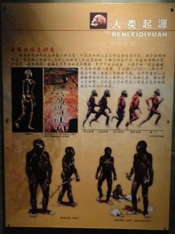 Yuanmou Man: The International Impact of the Discovery 1.7 Million ...