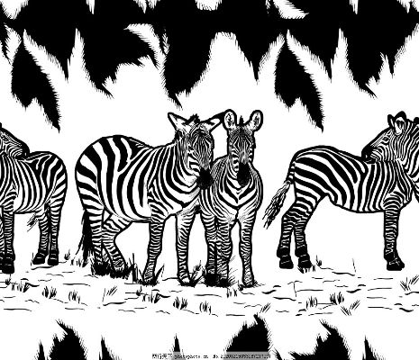 How do zebra populations on the African savannah form and maintain ...