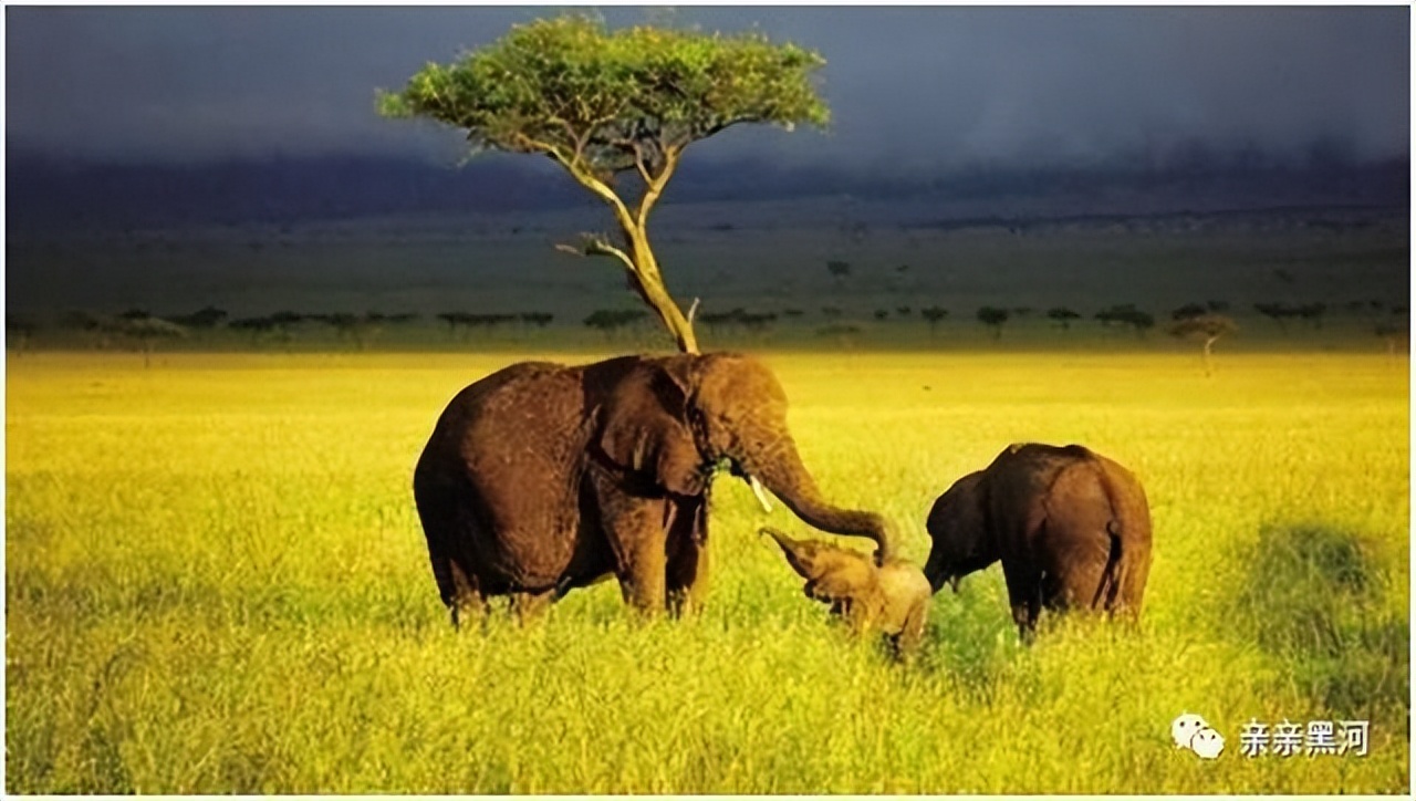 Research on the Relationship between Biodiversity Conservation and ...