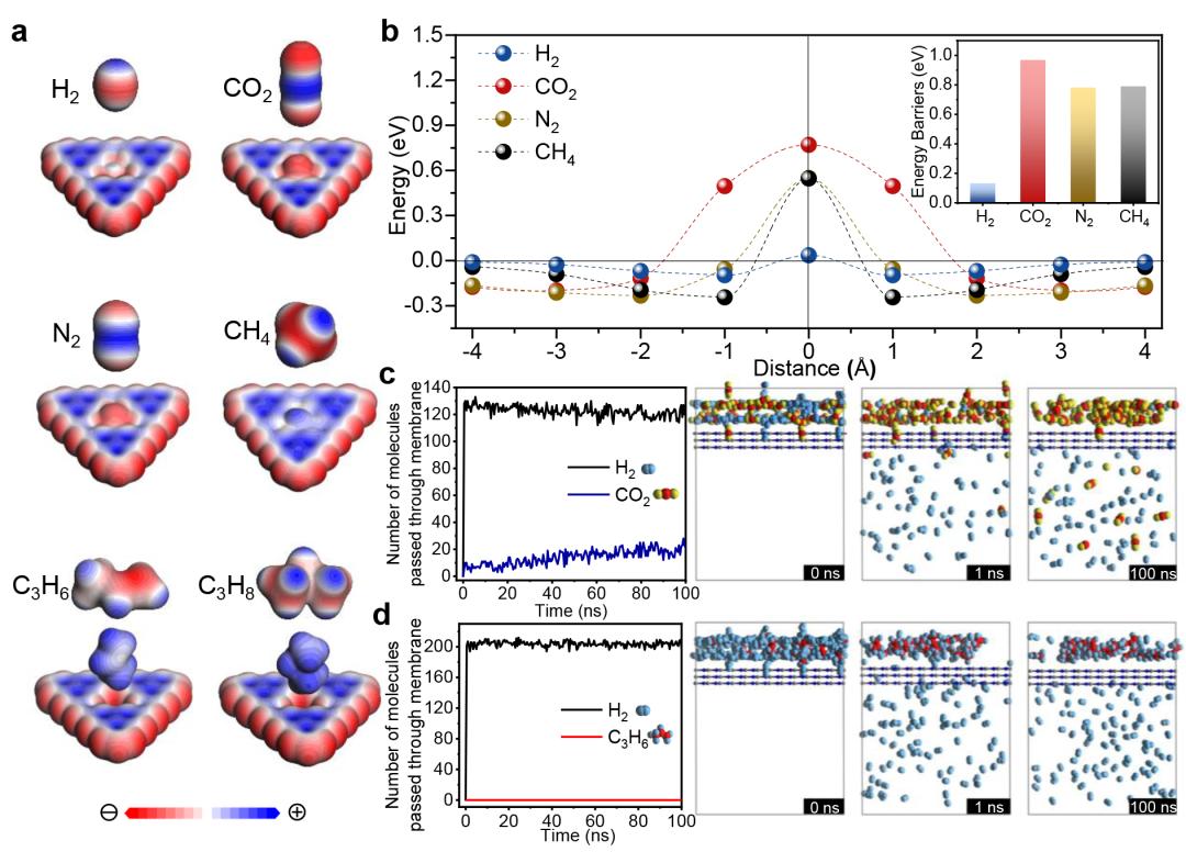 Rapid purification of hydrogen by graphitic carbon nitride nanosheet ...