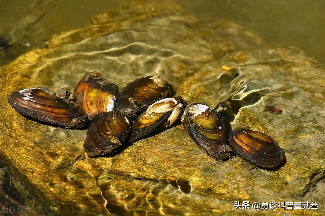 The Chinese University of Science and Technology team cracked the ...