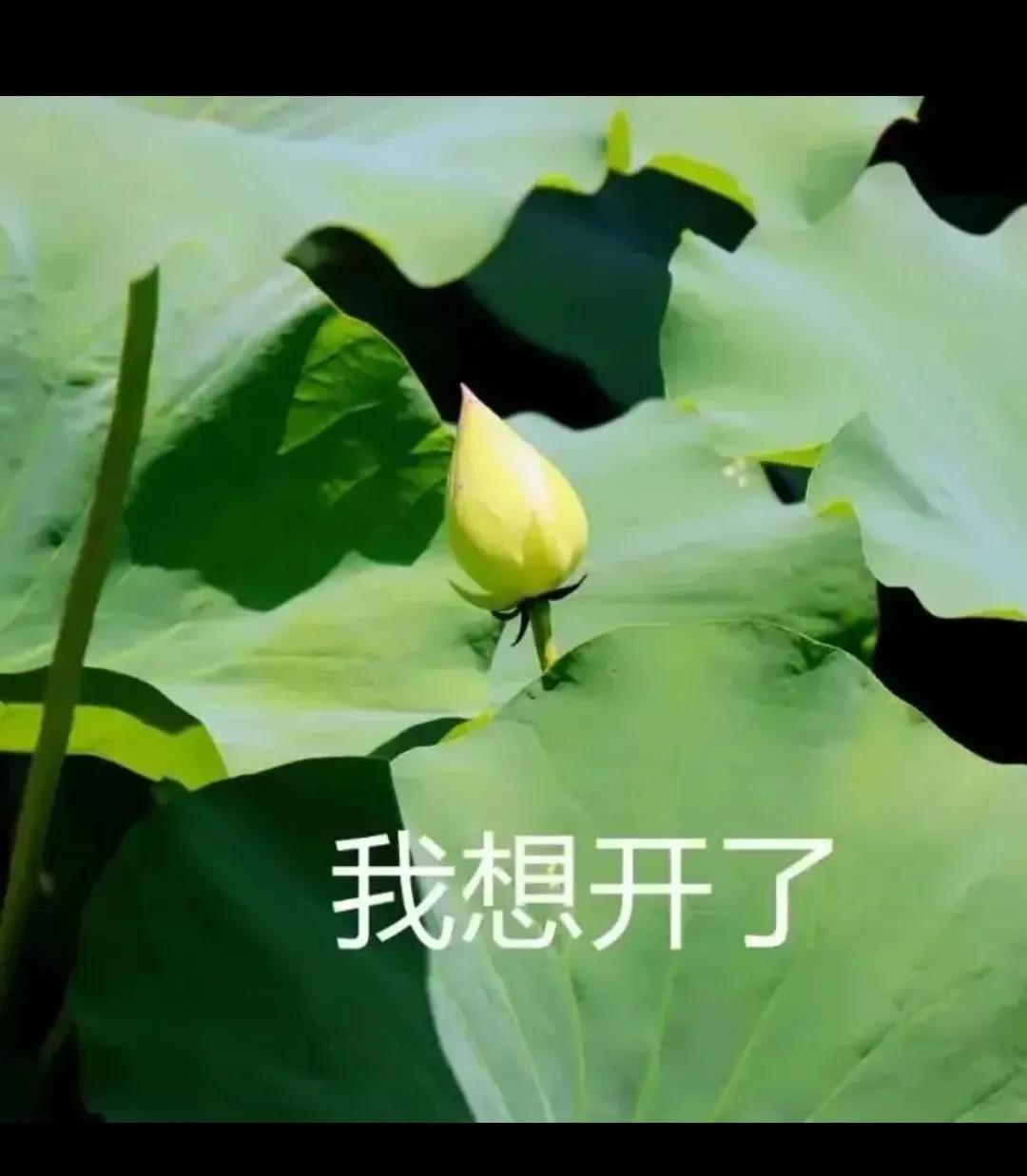 8 psychological cues to keep you positive - iNEWS