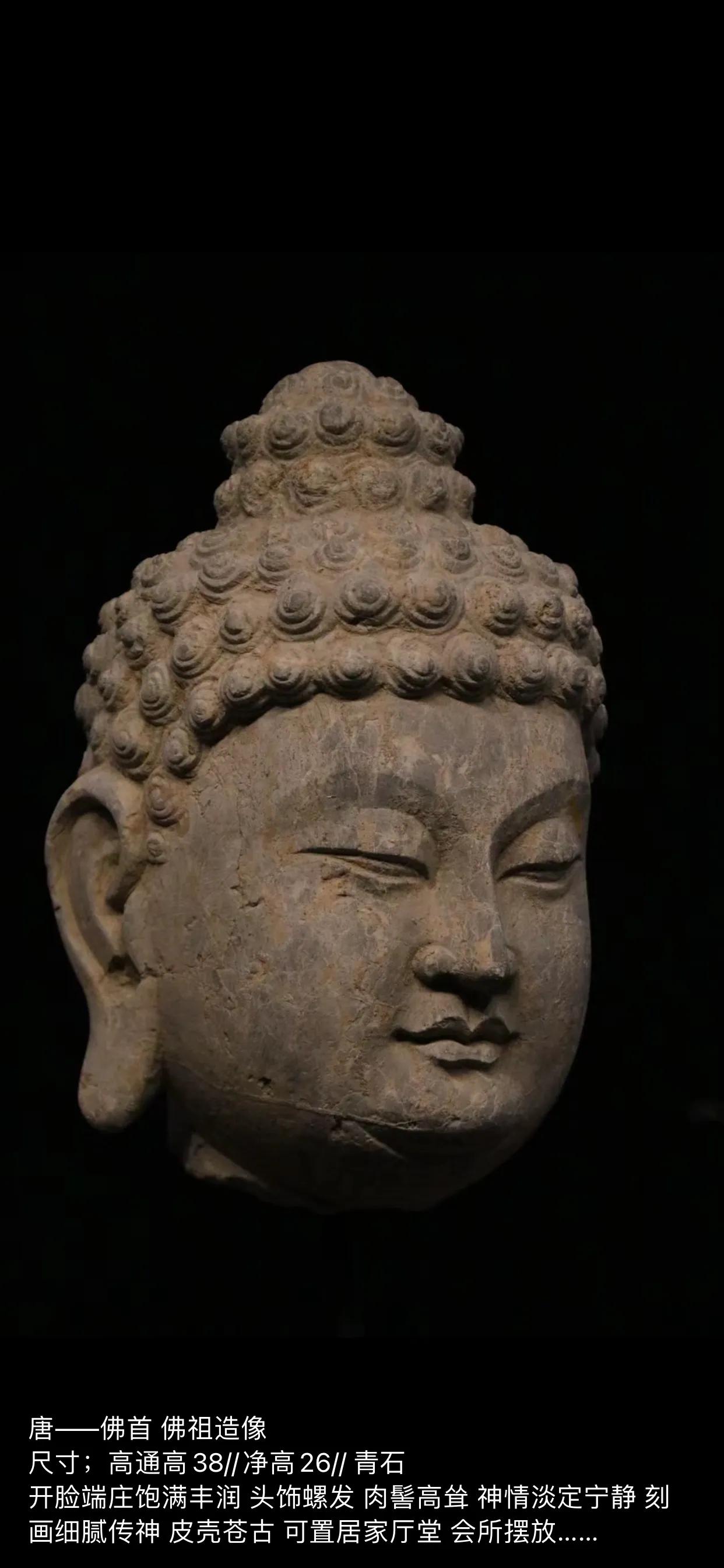 Tang Dynasty—Statue of Buddha Head Buddha - iNEWS