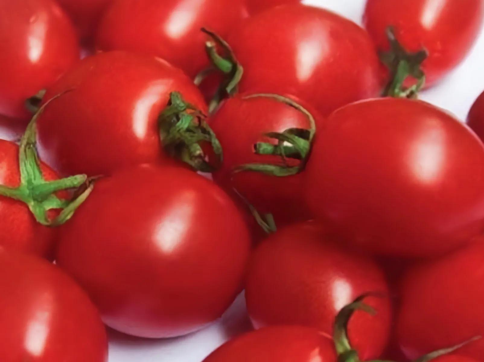 Cherry tomatoes: small and precious red gemstones - iNEWS