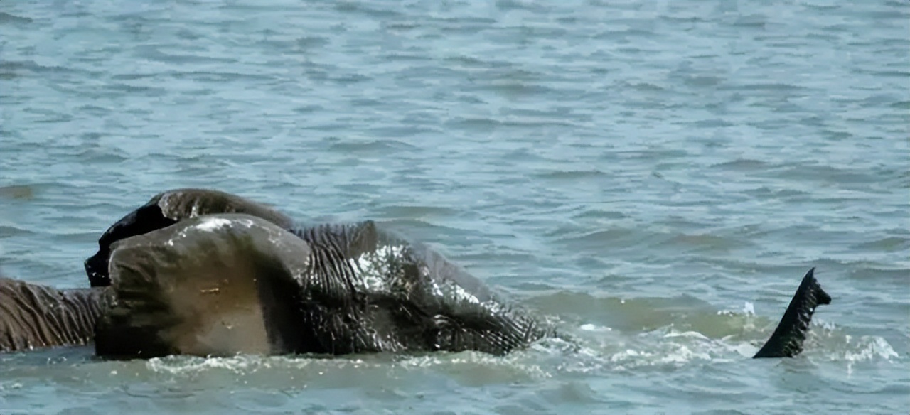 Mystery 6 - The truth about the Loch Ness monster, the lie of the ...