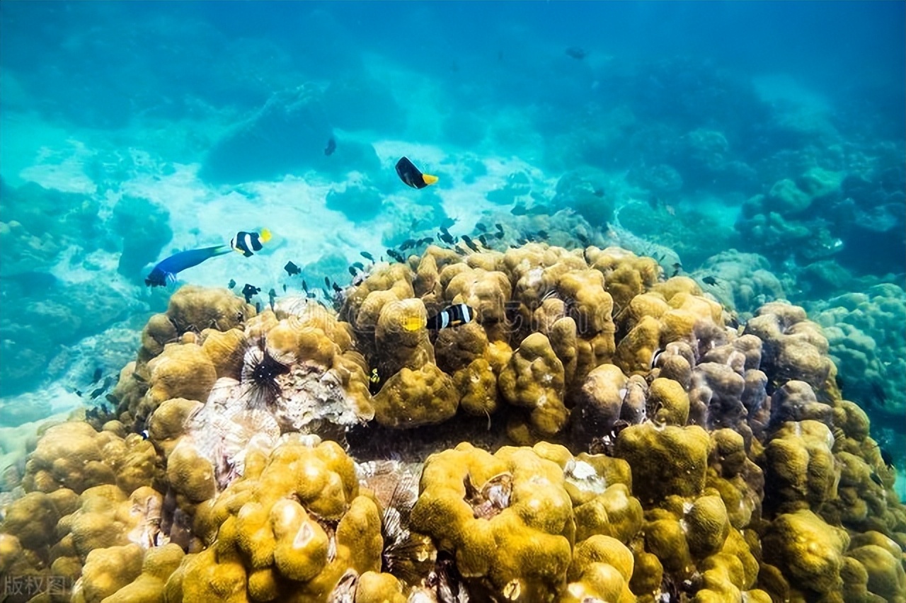 Explore colorful Asia and experience a different journey - iMedia