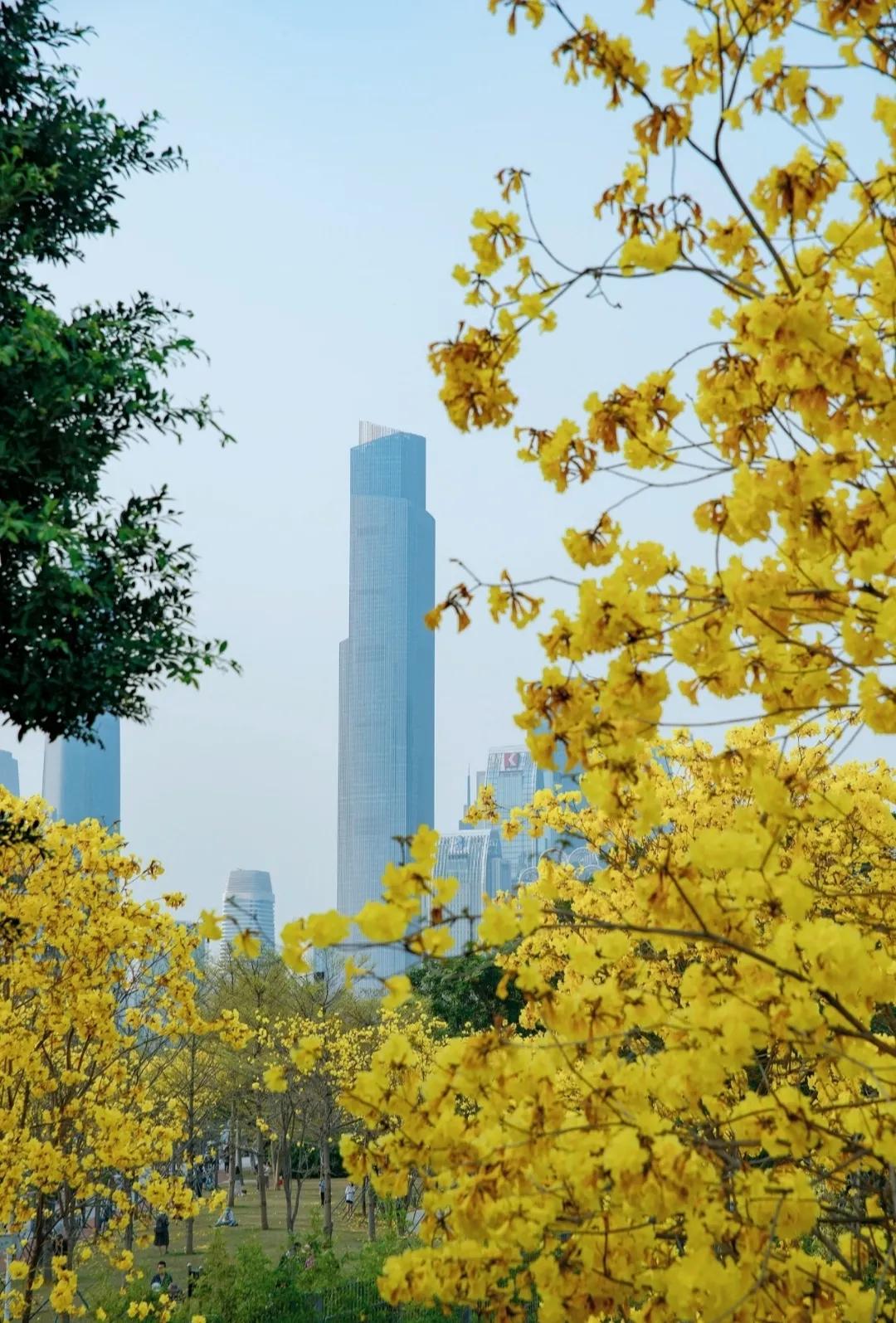 Guangzhou Modisha Park - iNEWS