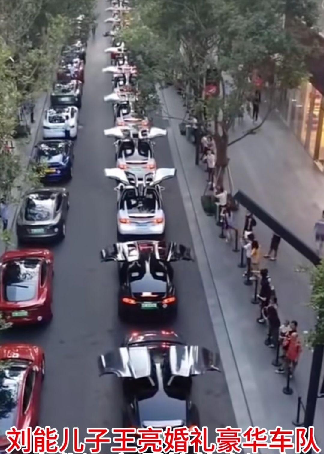 Wang Xiaoli's son's wedding ceremony was grand, with his stepmother in ...