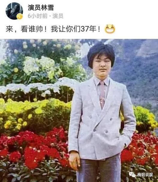 From box lunch king to green leaf king, Lin Xue's success is most ...