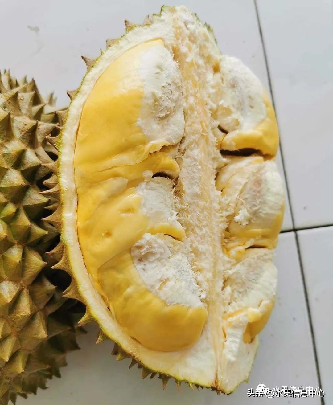 Philippine durian will soon be exported to China, Philippine Durian ...