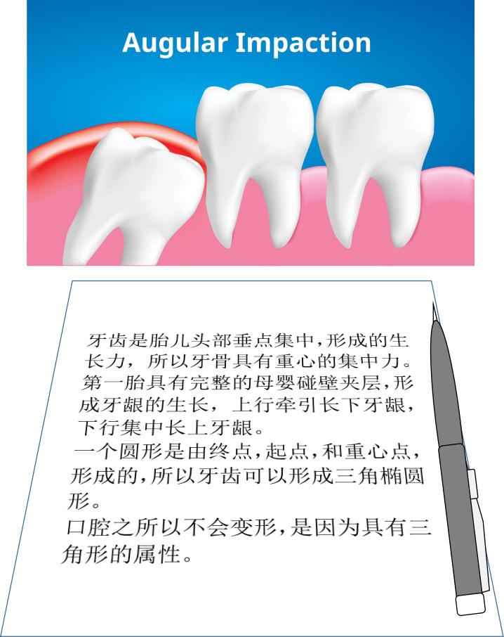Soul Architect: Teeth - iNEWS