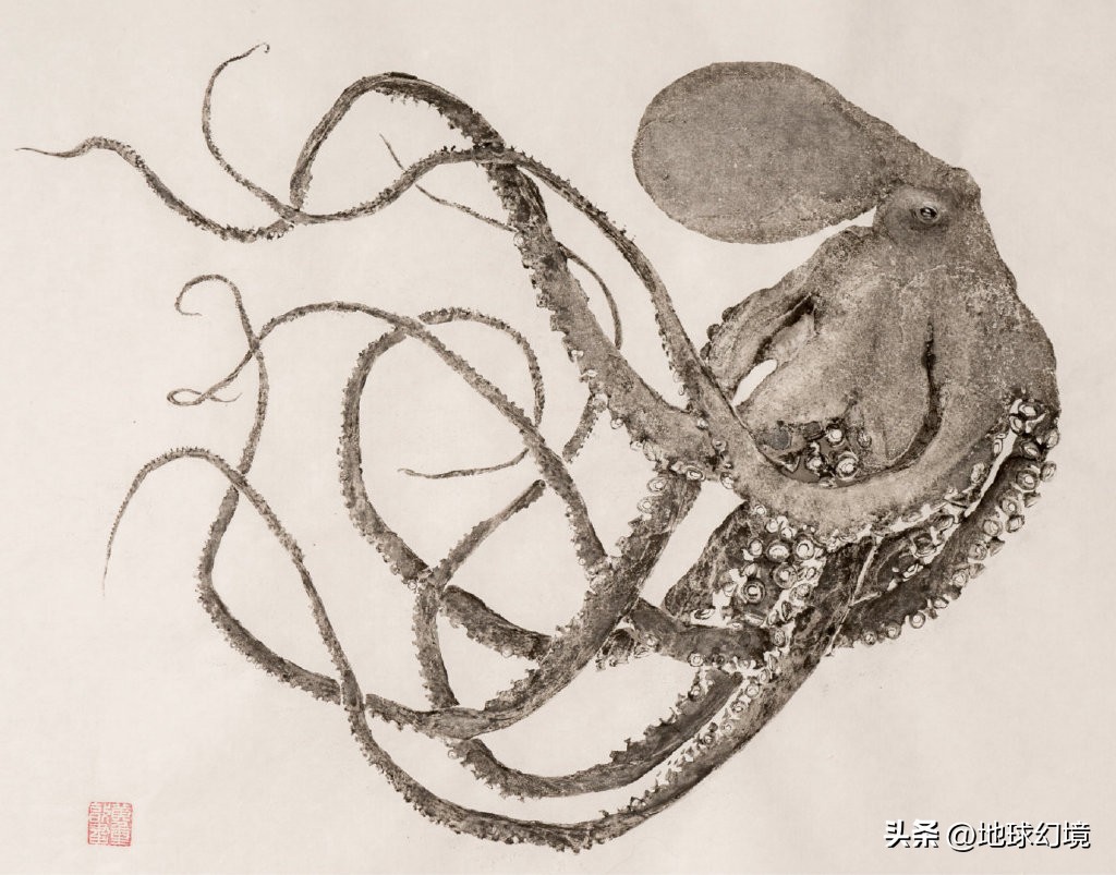 26 photos of cruel creatures: the left-behind calves were killed by ...