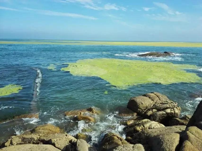 I yearn for the sea - iNEWS