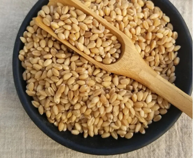 Floating wheat + black beans, relieve spontaneous sweating, night ...