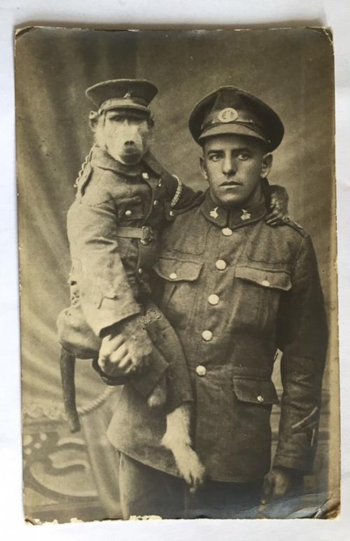 Corporal Jackie Baboon, the animal hero who saved the company in World ...