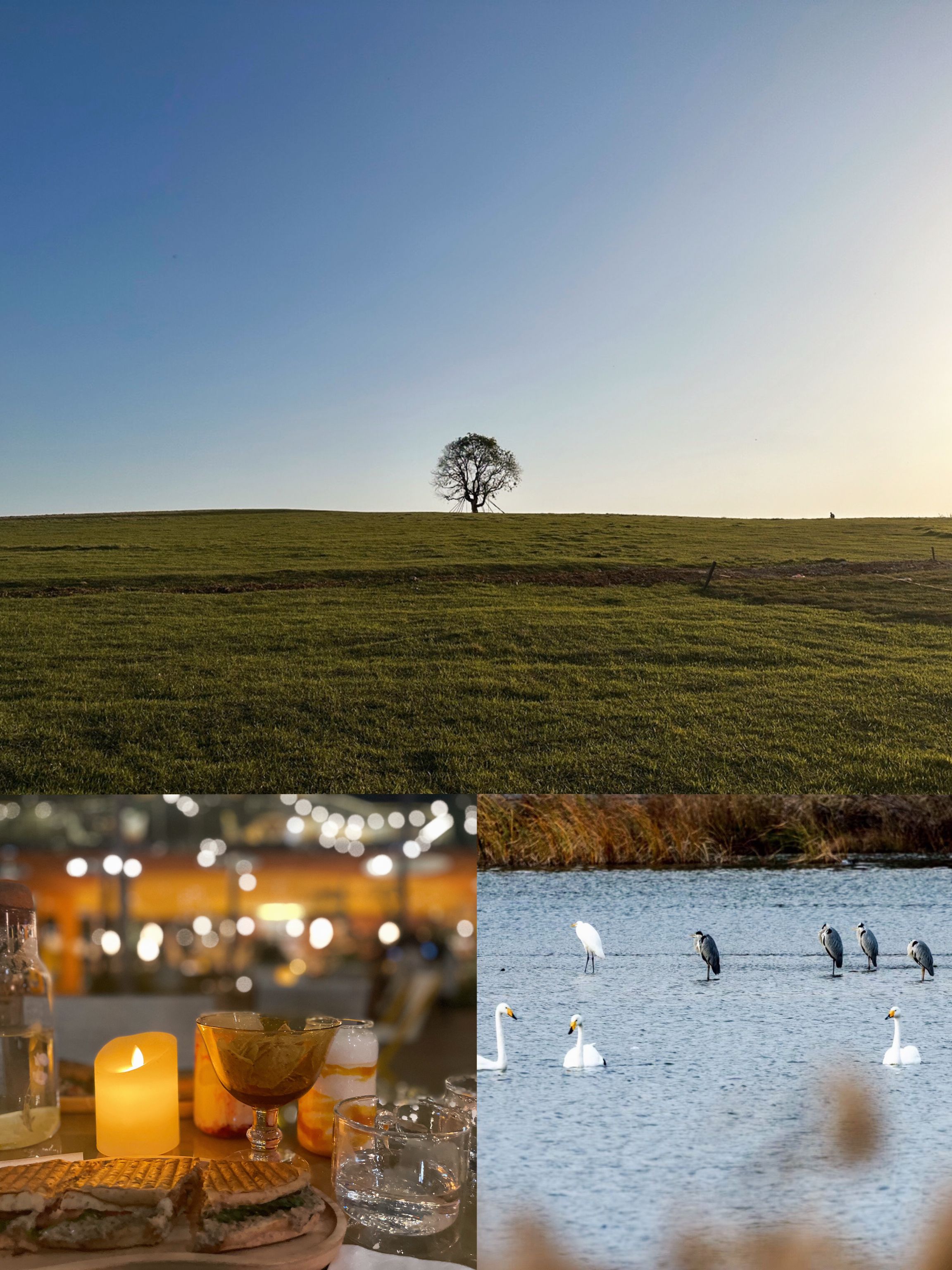 Outsiders ️ come to Rizhao to go to these places - iMedia