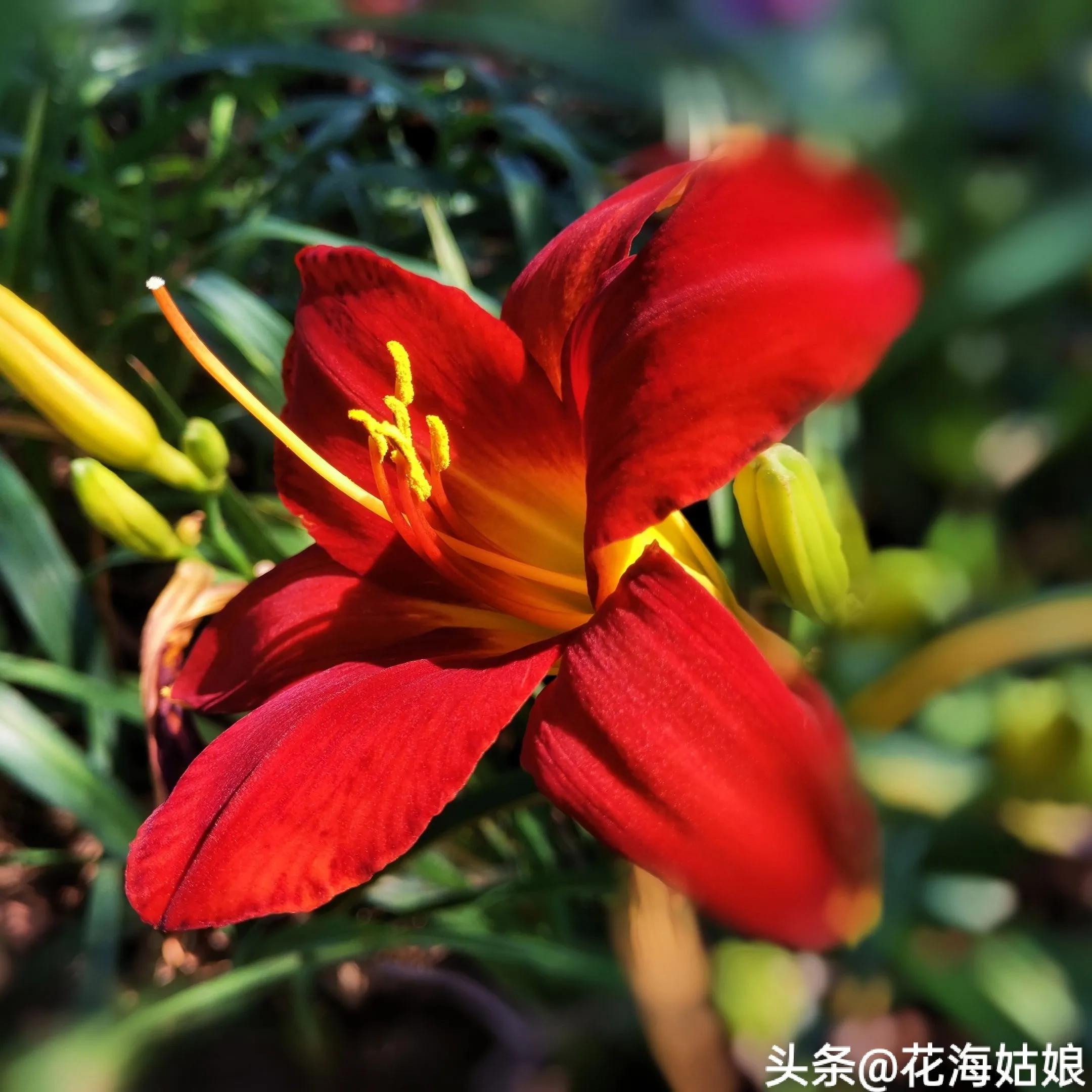 Take the time to shape yourself - iNEWS