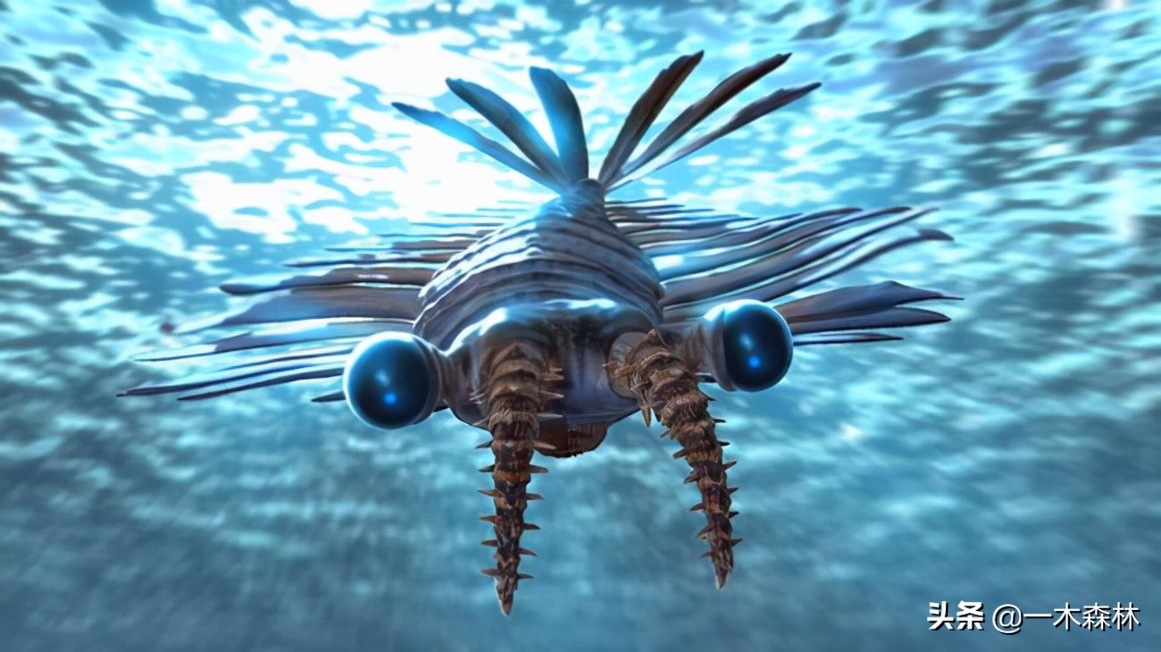 The "Pippi Shrimp" 530 million years ago became the first-generation ...