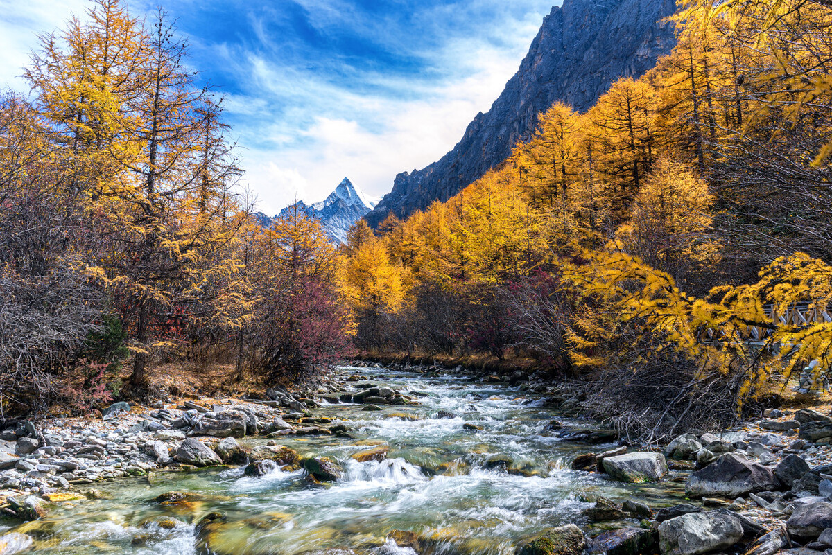 Looking for friends but not meeting a poem, Jiaoran "Looking for Lu ...