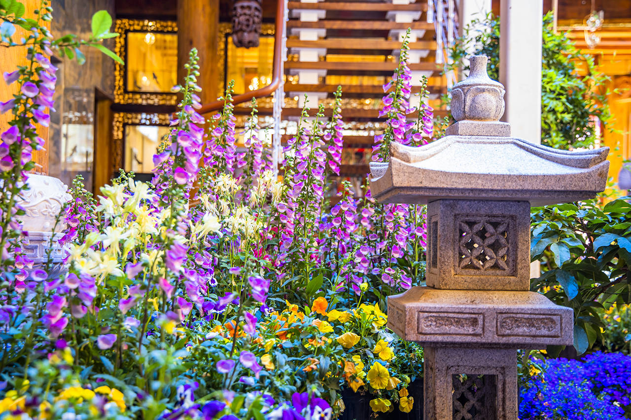 Meet Yourself live in a distant home, and have a time-traveling living ...