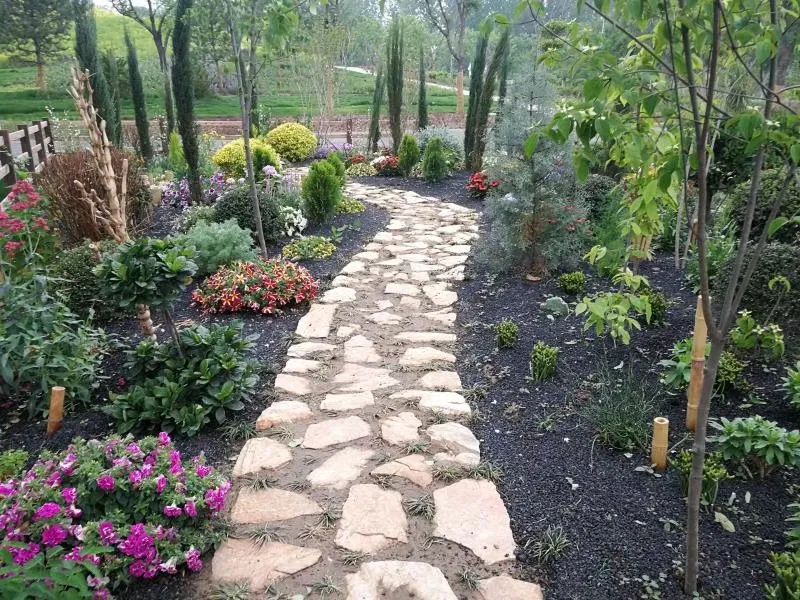 flower border landscape design - iMedia