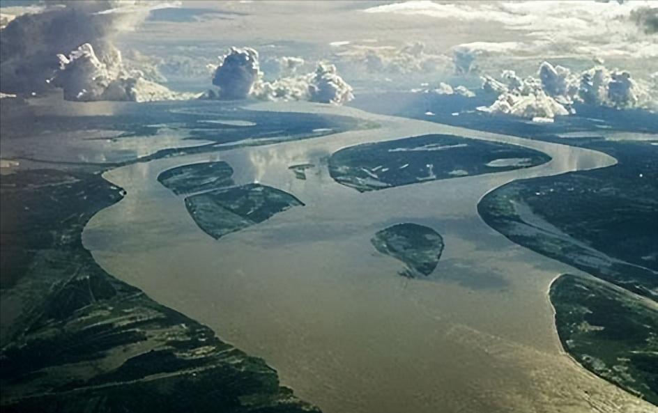 What happened in the Amazon River? : The Mystery of Vanishing Sea Life ...