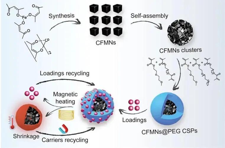Multiscale magnetization in cobalt-doped ferrite nanocubes, - iMedia