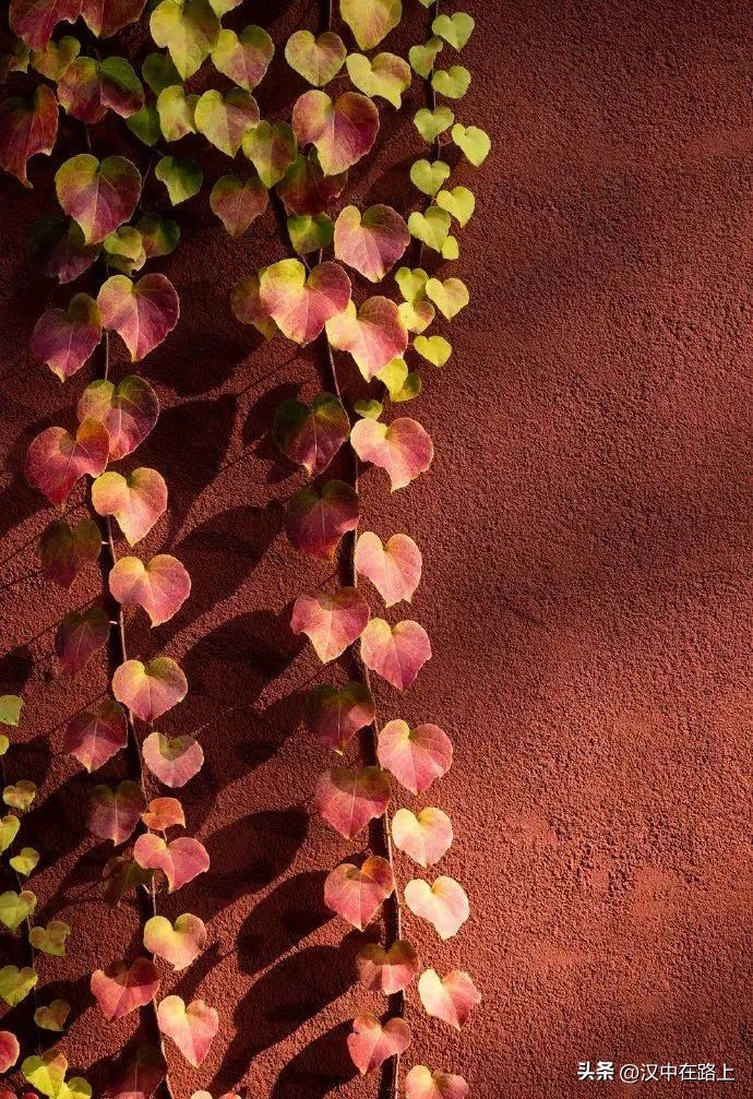 Autumn, the ancient town micro-vacation strategy - iMedia