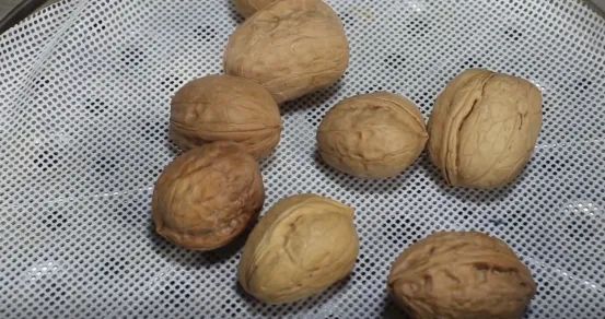 Just know, the little skills of walnut shelling, master these methods ...