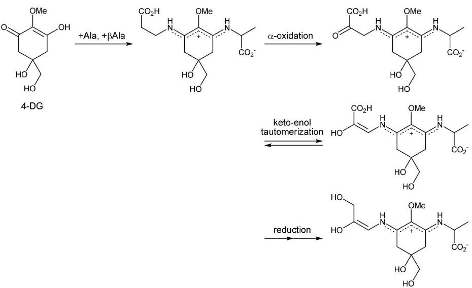 Mycocin-like Amino Acids and Their Derivatives, Application Prospects ...