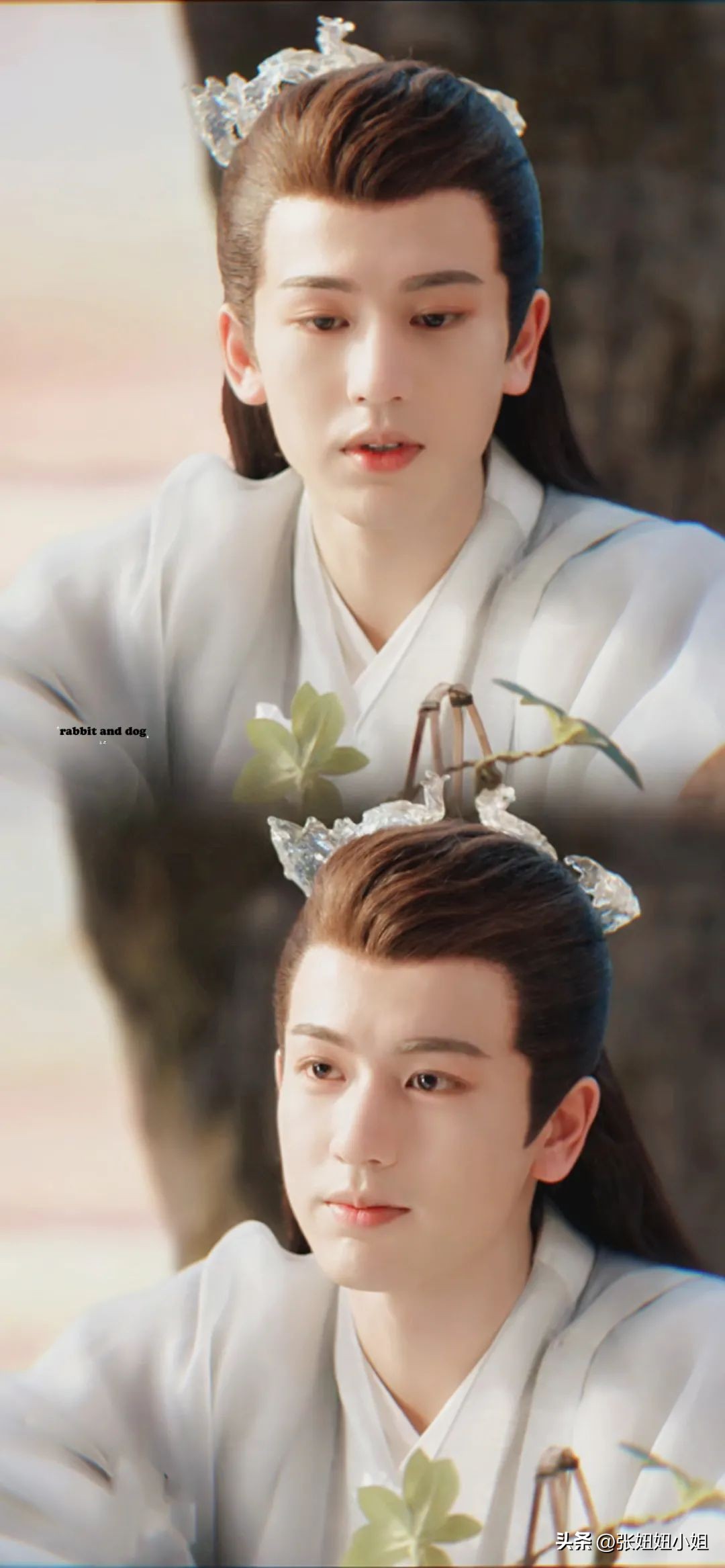 [Canglan Jue] The second male Zhang Linghe is not from a major, but now has a close relationship ...