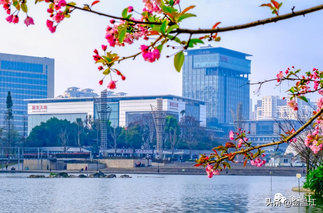 "The Amazing Us" is hotly filmed in Wenjiang! This is what Yu Qian and ...