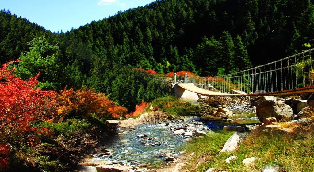 Shandan: A Bright Pearl on the Silk Road - iNEWS