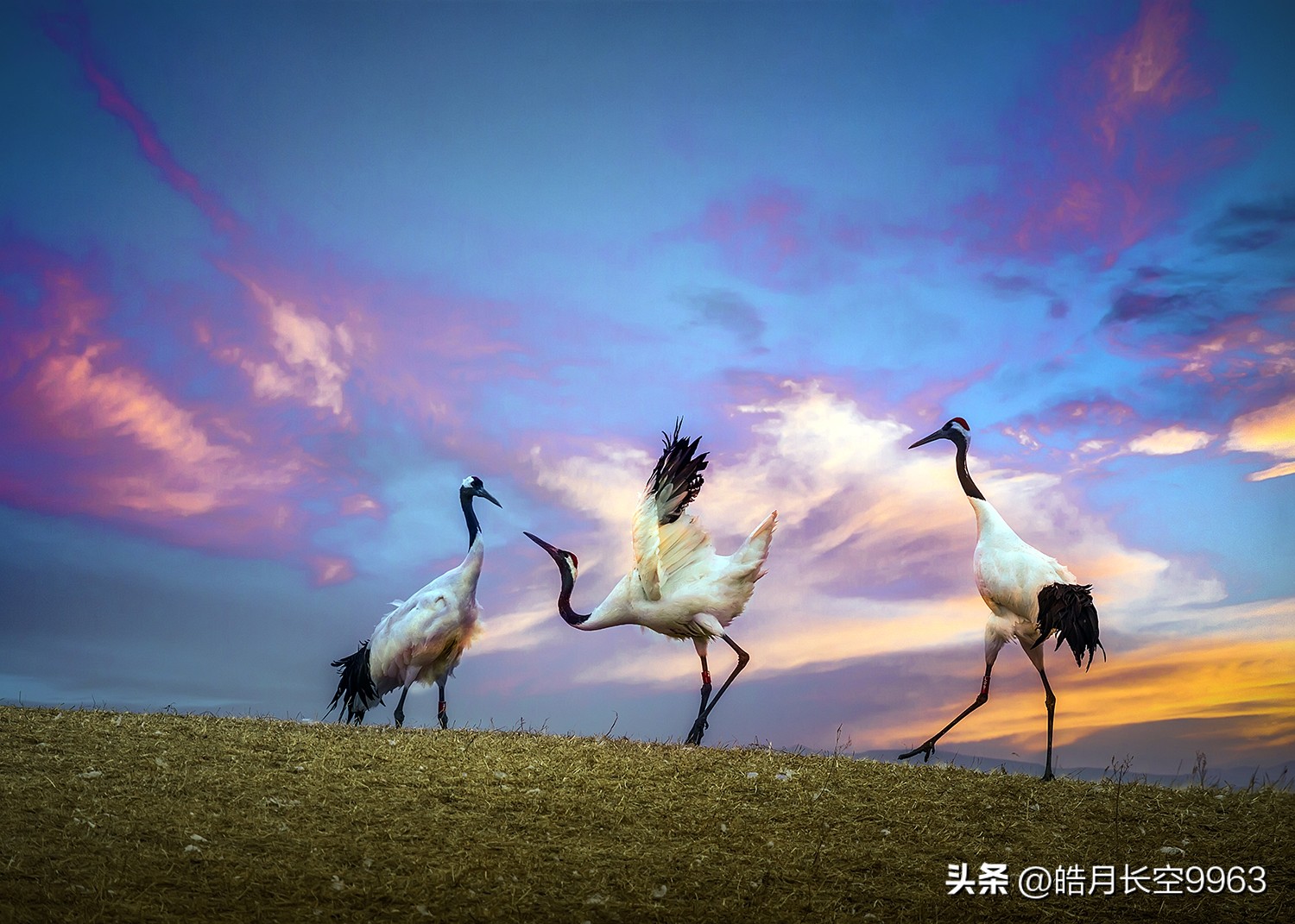 Wang Yangming's "Biography and Xilu" Xue Kanlu 1 - iNEWS